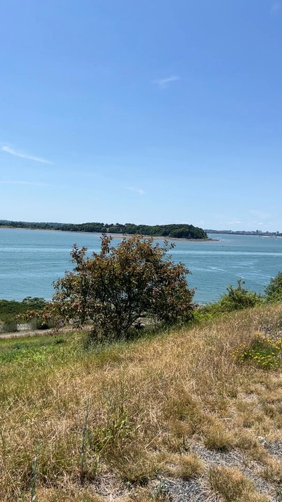 SPECTACLE ISLAND - Updated December 2025 - 74 Photos & 62 Reviews - 15 ...