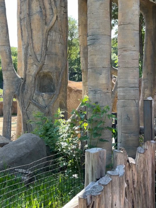 DALLAS ZOO - Updated March 2025 - 1891 Photos & 505 Reviews - 650 S R L ...