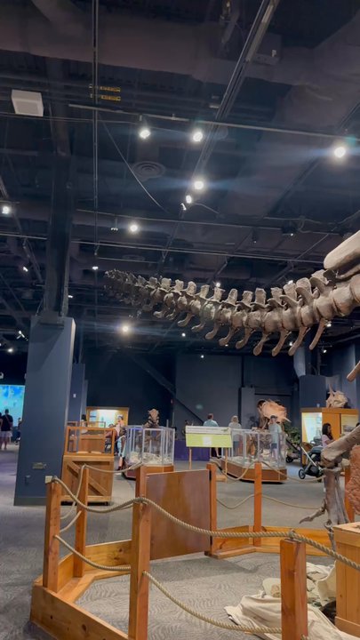 ORLANDO SCIENCE CENTER - Updated March 2026 - 1299 Photos & 416 Reviews ...
