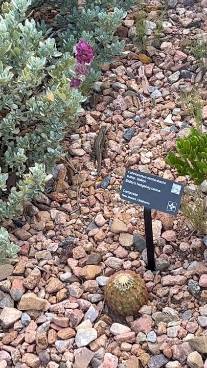 SANTA FE BOTANICAL GARDEN - Updated May 2025 - 210 Photos & 41 Reviews ...