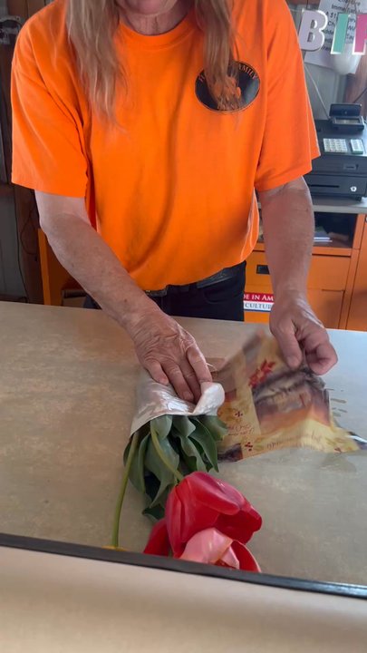 HOWARD FAMILY FARM - Updated January 2026 - 68 Photos & 12 Reviews ...