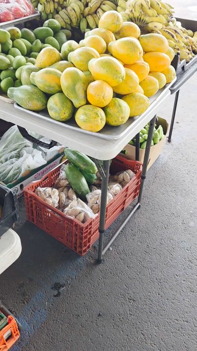 HILO FARMER’S MARKET - Updated May 2026 - 1441 Photos & 564 Reviews ...