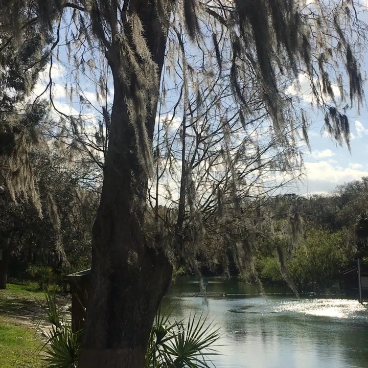 LITHIA SPRINGS PARK - Updated January 2025 - 143 Photos & 61 Reviews ...