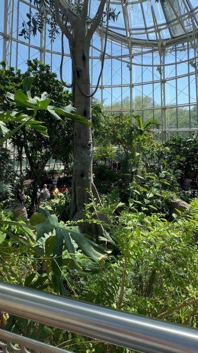 COCKRELL BUTTERFLY CENTER - Updated March 2025 - 598 Photos & 146 ...