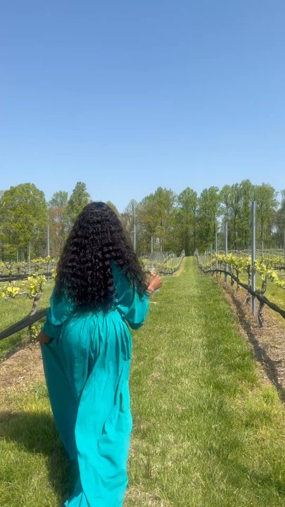 DYNAMIS ESTATE WINES - Updated October 2025 - 63 Photos & 20 Reviews ...