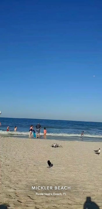 MICKLER’S BEACH - Updated September 2025 - 1304 Photos & 84 Reviews ...