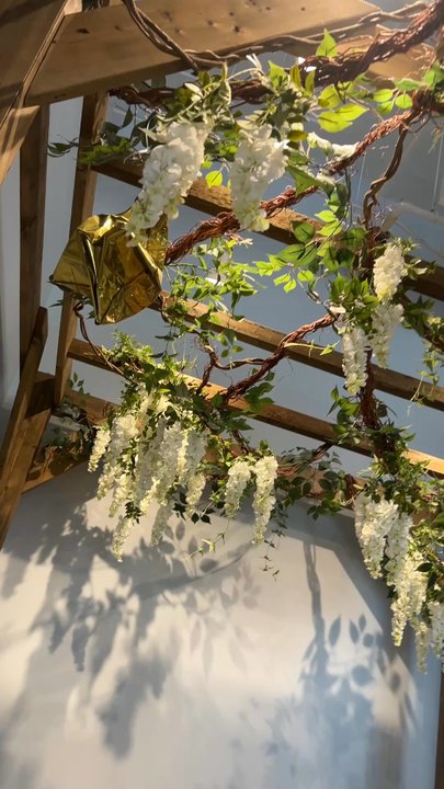 MAMAN - Updated December 2025 - 220 Photos & 95 Reviews - 141 N St SE ...