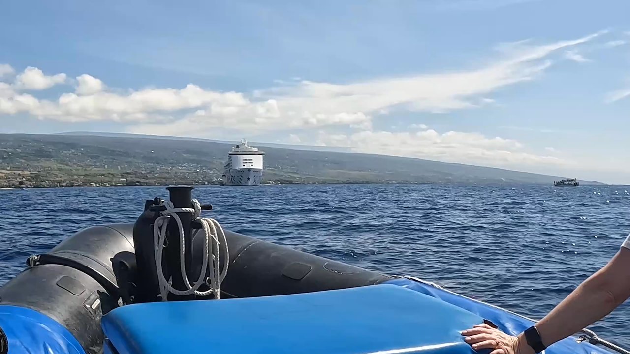 CAPTAIN ZODIAC - Updated December 2025 - 247 Photos & 455 Reviews - 74 ...