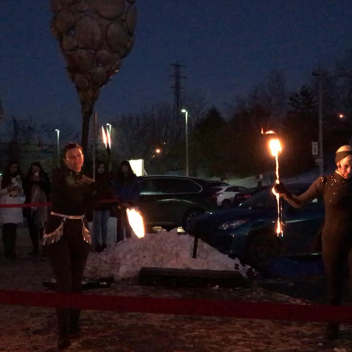 TORONTO LIGHT FESTIVAL - Updated May 2026 - 123 Photos & 15 Reviews ...