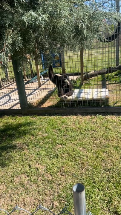TIGER WORLD - Updated January 2025 - 413 Photos & 115 Reviews - 4400 ...