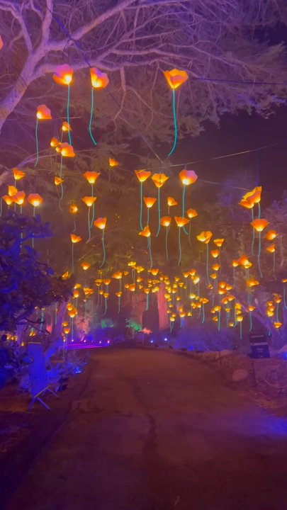 LIGHTSCAPE SAN DIEGO - Updated October 2025 - 250 Photos & 59 Reviews ...