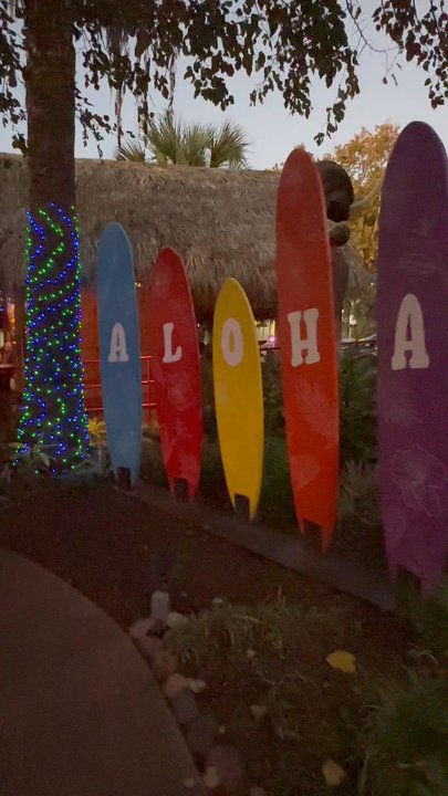 HULA HUT - Updated April 2025 - 1840 Photos & 2180 Reviews - 3825 Lake ...