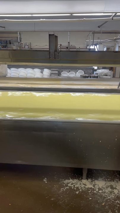 SCRAY CHEESE - Updated December 2025 - 46 Photos & 40 Reviews - 2082 ...