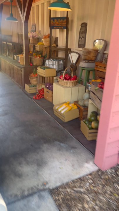 ADVENTURE CITY - Updated July 2025 - 1075 Photos & 895 Reviews - 1238 S ...