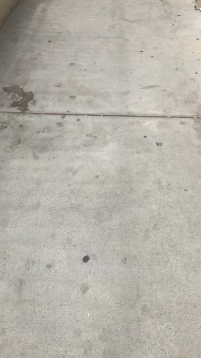 PATH OF LIFE MINISTRIES COMMUNITY SHELTER - Updated January 2026 - 38 ...