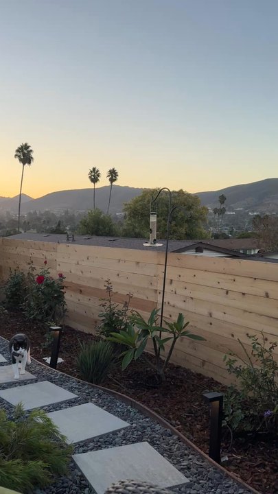 NEED FOR BUILD - Updated December 2025 - 804 Photos & 240 Reviews ...