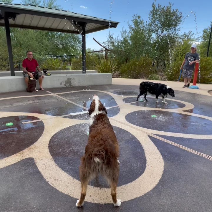 HERITAGE BARK PARK - Updated December 2025 - 166 Photos & 127 Reviews ...