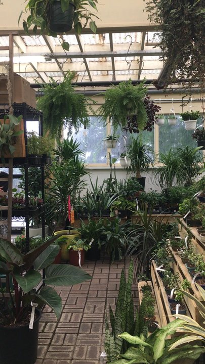 MERRIFIELD GARDEN CENTER - Updated October 2025 - 326 Photos & 238 ...