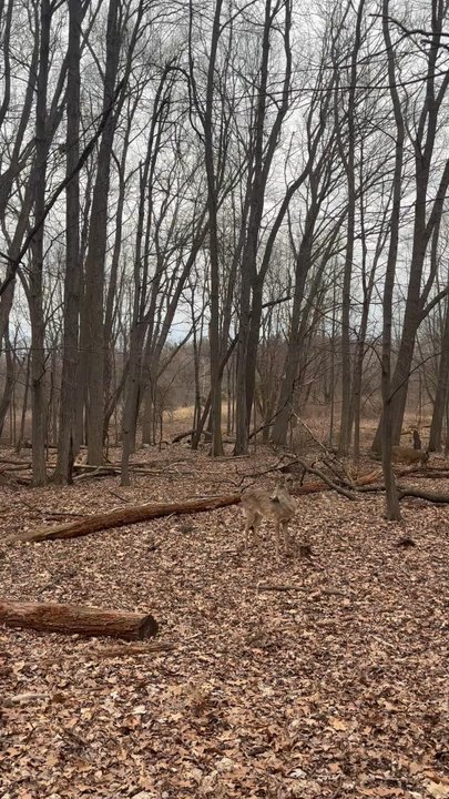 STAGE NATURE CENTER - Updated April 2026 - 87 Photos & 17 Reviews ...
