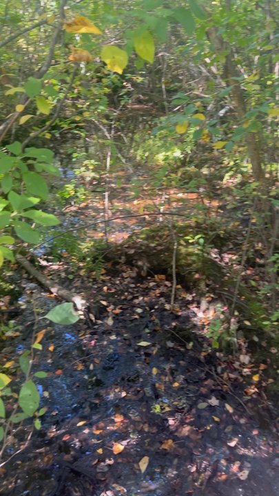 QUOGUE WILDLIFE REFUGE - Updated November 2025 - 165 Photos & 43 ...