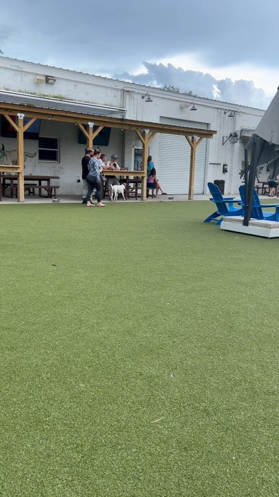 TWO SHEPHERDS TAPROOM - Updated December 2025 - 152 Photos & 74 Reviews - 4813 N Grady Ave ...