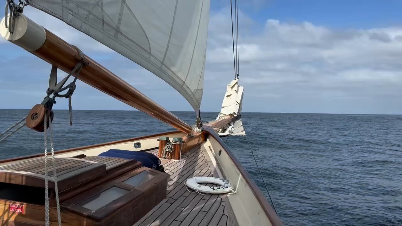 NEXT LEVEL SAILING - Updated July 2025 - 271 Photos & 282 Reviews ...