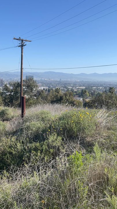 STONEVIEW NATURE CENTER - Updated September 2025 - 122 Photos & 21 ...