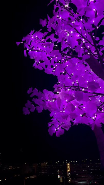 G7 ROOFTOP - Updated February 2025 - 98 Photos & 41 Reviews - 5510 S ...