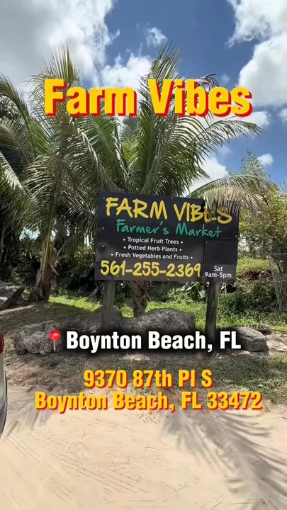 FARM VIBES - Updated December 2025 - 11 Photos & 12 Reviews - 9370 87th ...