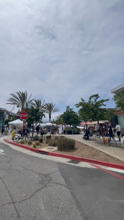 FIESTA HERMOSA - Updated April 2026 - 366 Photos & 129 Reviews ...