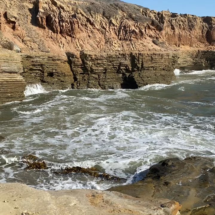 POINT LOMA TIDE POOLS - Updated May 2026 - 1007 Photos & 140 Reviews ...