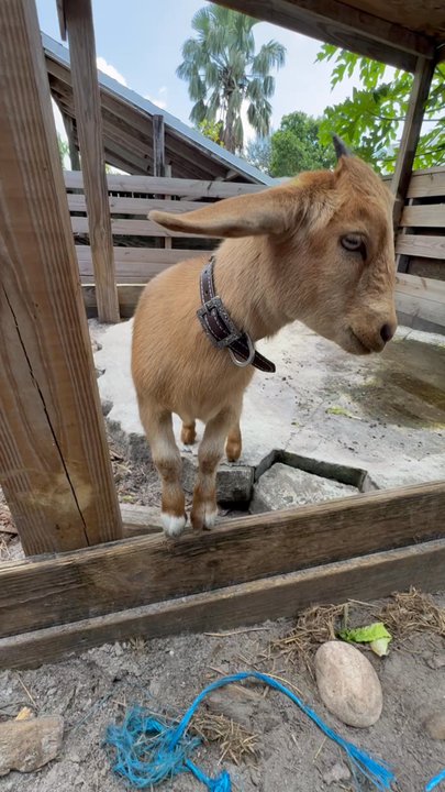 MARANDO FARMS & RANCH - Updated February 2025 - 314 Photos & 115 ...