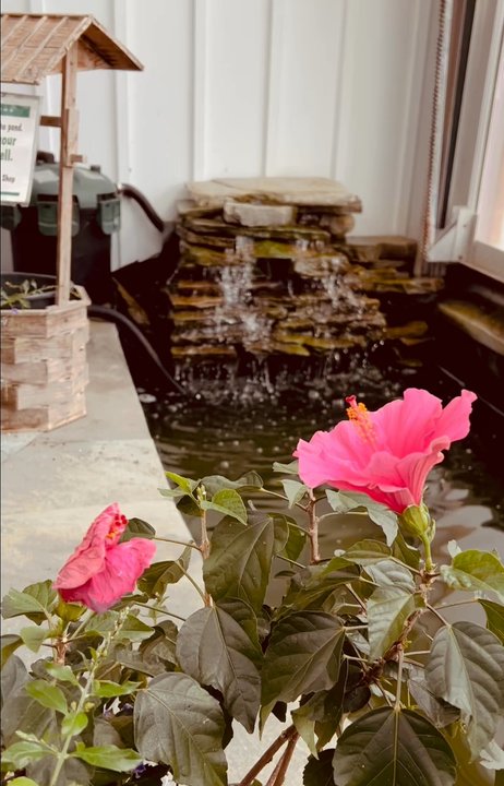 ADAMS FAIRACRE FARMS - Updated January 2026 - 723 Photos & 128 Reviews ...