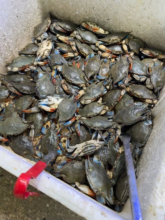 DAYOU INTERNATIONAL MARKET - Updated January 2026 - 26 Photos & 15 ...