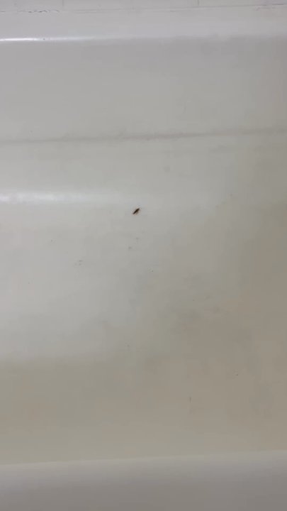 HARMON AT 370 - Updated July 2025 - 33 Photos & 21 Reviews - 370 E ...