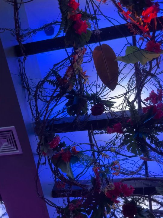 MOJO RVC - Updated August 2025 - 508 Photos & 361 Reviews - 300 Sunrise ...