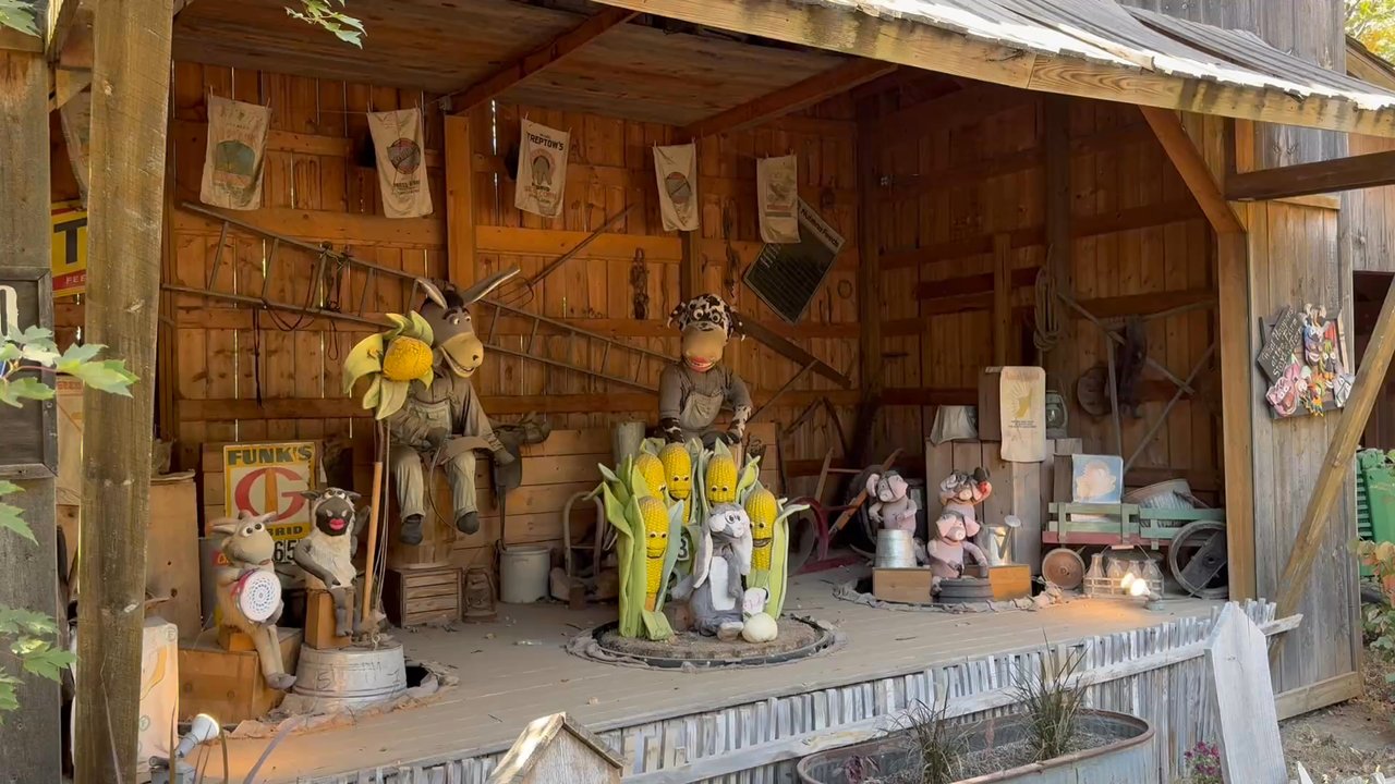 VALA’S PUMPKIN PATCH - Updated October 2025 - 436 Photos & 192 Reviews ...