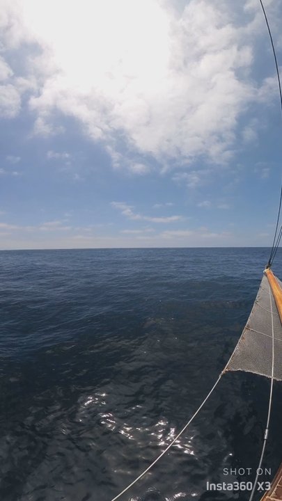 NEXT LEVEL SAILING - Updated December 2024 - 262 Photos & 272 Reviews ...