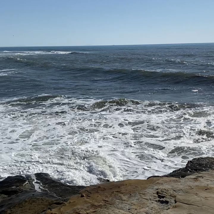 POINT LOMA TIDE POOLS - Updated December 2025 - 965 Photos & 138 ...