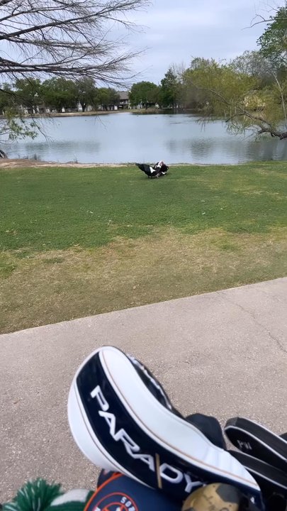 SHARPSTOWN GOLF COURSE - Updated November 2025 - 31 Photos & 34 Reviews ...