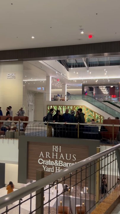 SHOTTED SPECIALTY COFFEE - Updated September 2025 - 427 Photos & 256 ...