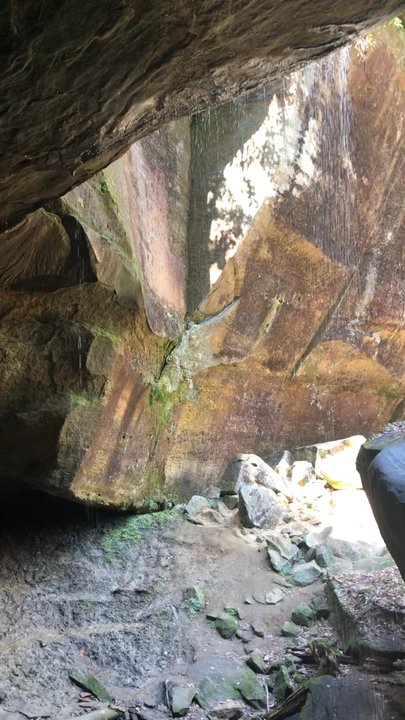 NATURAL BRIDGE STATE PARK - Updated December 2025 - 591 Photos & 80 ...