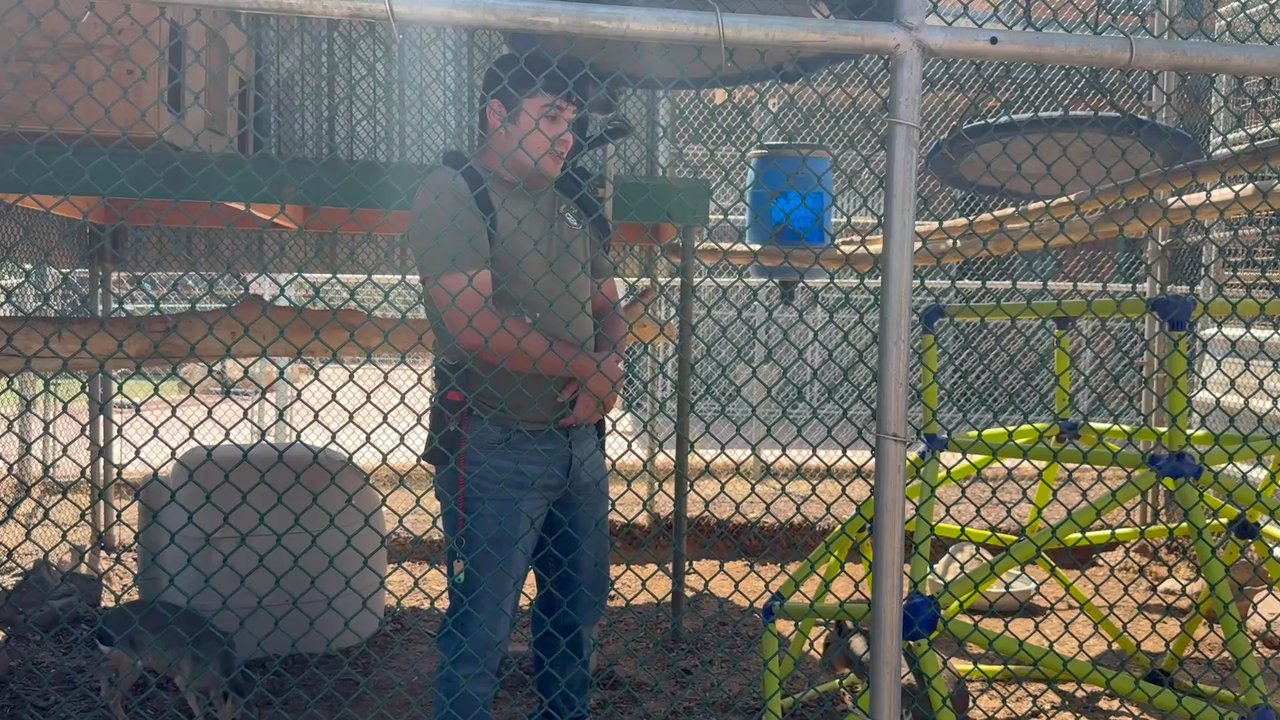 FOREVER WILD EXOTIC ANIMAL SANCTUARY - Updated May 2026 - 685 Photos ...