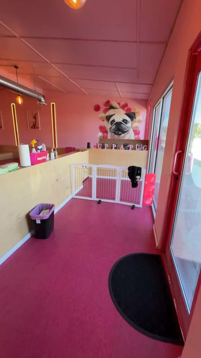 CUPPA PUG - Updated December 2025 - 199 Photos & 82 Reviews - 607 W 9th ...