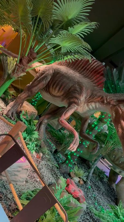 DINOSAUR OUTPOST - Updated July 2025 - 32 Photos & 19 Reviews - 6569 S ...