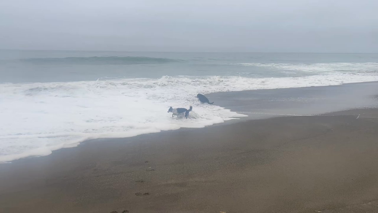 ESPLANADE BEACH - Updated December 2025 - 182 Photos & 60 Reviews - 360 Esplanade Ave, Pacifica ...