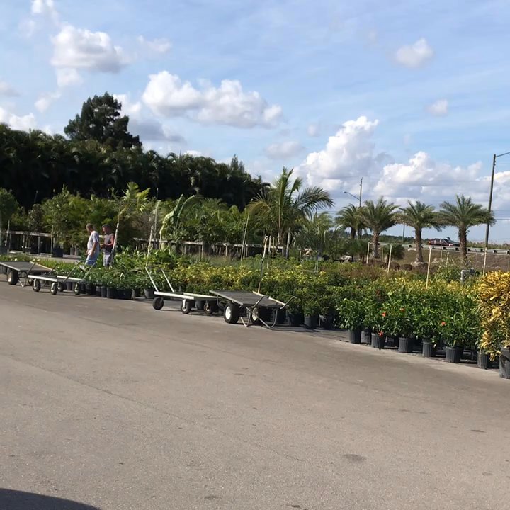 THE BUSHEL STOP - Updated July 2025 - 183 Photos & 66 Reviews - 8596 W ...