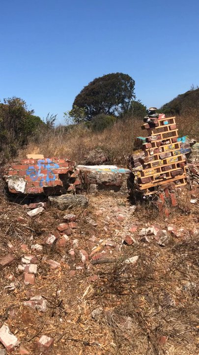 ALBANY BULB - Updated January 2025 - 984 Photos & 244 Reviews - 1 ...