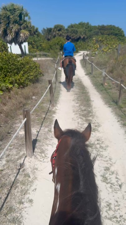 PALOMINO RANCH & TOURS - Updated June 2026 - 49 Photos & 24 Reviews ...