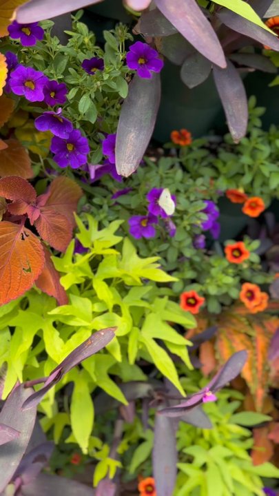 DENVER BOTANIC GARDENS CHATFIELD FARMS - Updated October 2025 - 285 ...